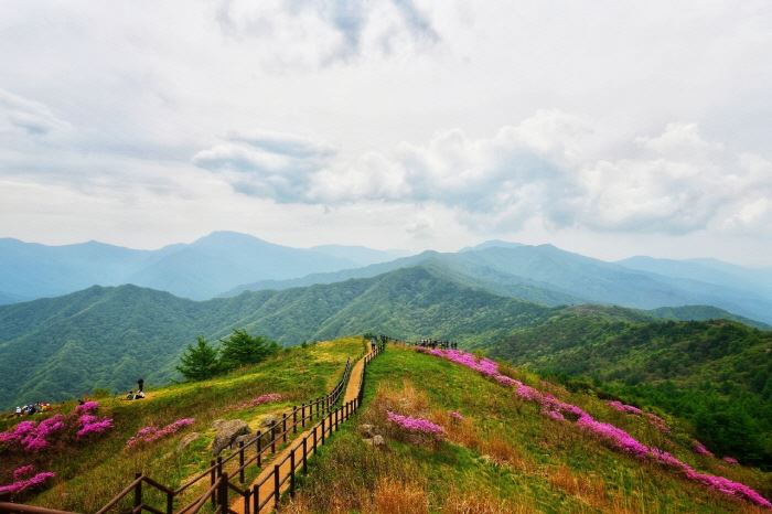 [등산로 탐방기] 지리산(智異山) 서북(西北)능선 | 시사의창